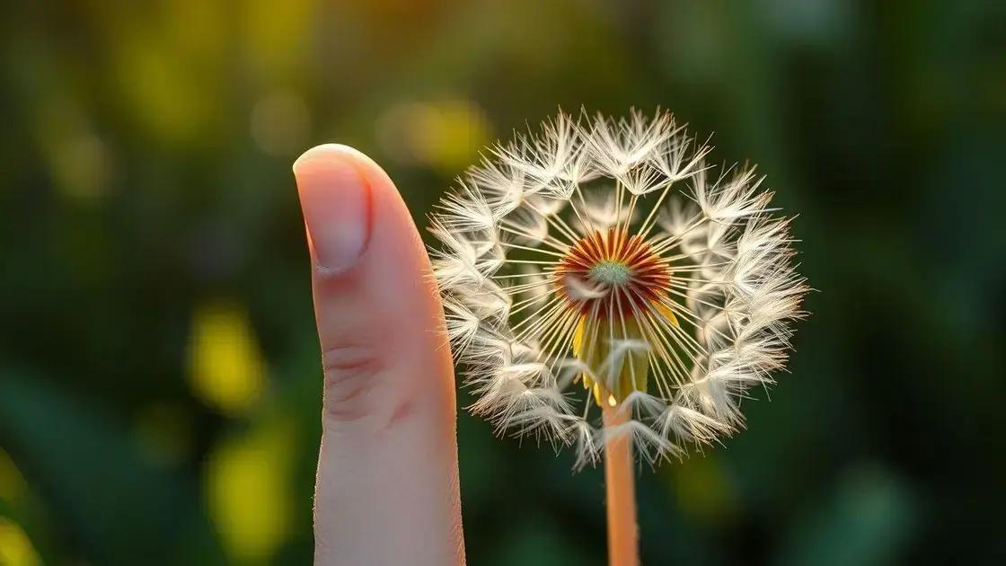 Entenda Quando E Como Usar A Pílula Do Dia Seguinte (levonorgestrel)